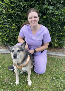 Alex - Vetcall Burleigh